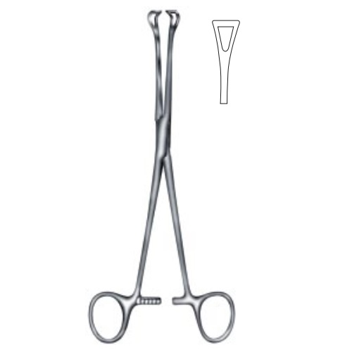 Pinza babcock para tejidos 18 cm | Beracahmedica